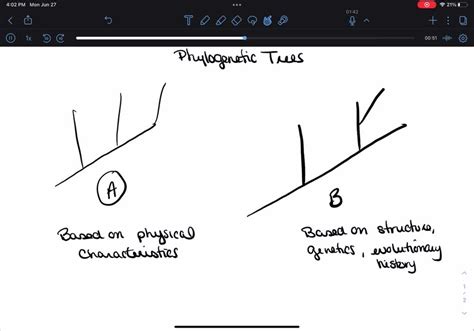 Solved Consider These Phylogenetic Trees The First Tree Is Based On Physical Characteristics