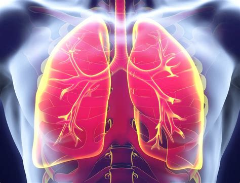 Toripalimab Chemo Improves Efs Vs Chemo Alone In Resectable Nsclc R Lungcancersupport