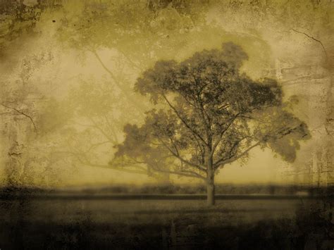 Background Ppt Pohon 56 Koleksi Gambar