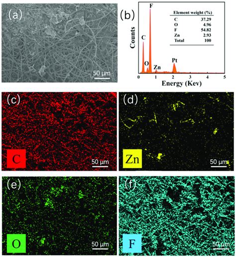 Eds Of The Znopvdf Composite Membrane Znopvdf 13 Ww A Sem Download Scientific