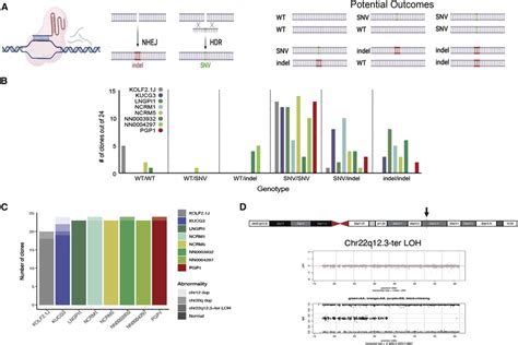 Comparative Gene Editing Efficiency A Schematic Of The Gene Editing