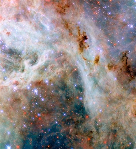 活発な星形成領域タランチュラ星雲のガスと塵の雲 ハッブル宇宙望遠鏡が撮影 アストロピクス
