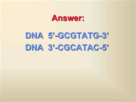 Dna Replication 1 Ppt