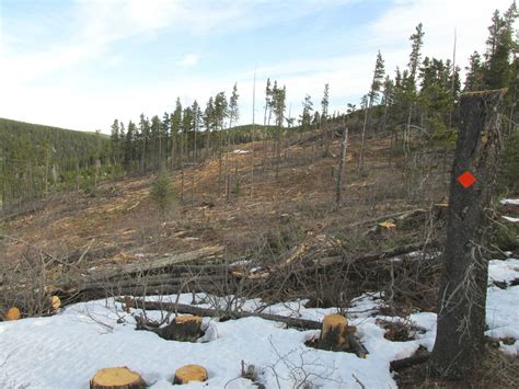 The Passionate Hiker Long Distance Trail Logging Pictures