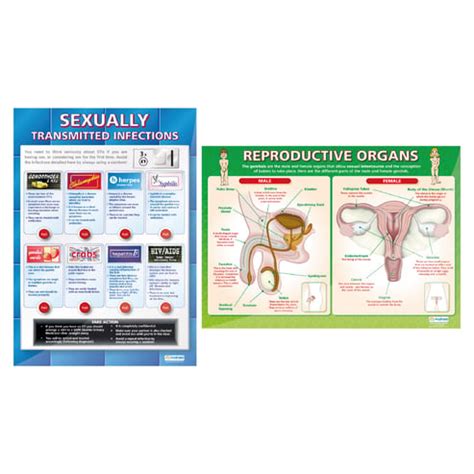 Puberty And Sex Posters Set Of Daydream Education