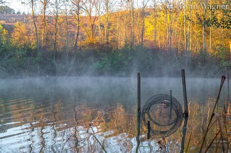 Field Life To Sex A Snapping Turtle