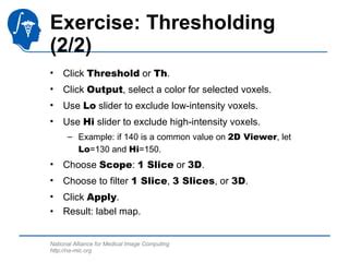 Manual Segmentation Ppt