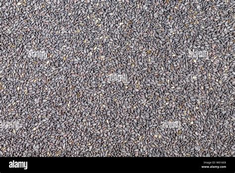 black sesame Stock Photo - Alamy