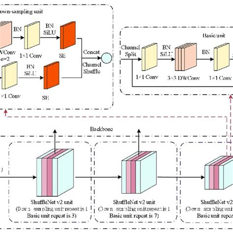 Lightweight Backbone Network Structure Download Scientific Diagram