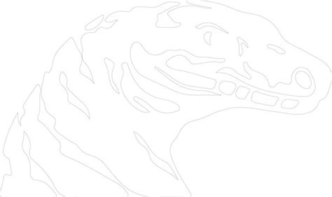 African Rock Python Bilder Stock Fotos And Videos Adobe Stock