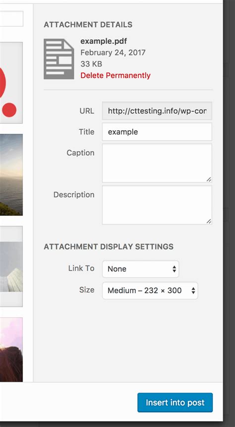 How To Easily Embed PDFs In WordPress Compete Themes