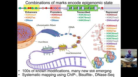 MIT CompBio Lecture Epigenomics YouTube