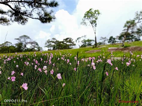 ດ່ານໃຫຍ່ ໜອງຫຼວງ ເມືອງປາກຊ່ອງ Unseen Laos ອັນຊີນລາວ