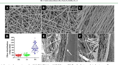 Figure 1 From Mimicking Hierarchical Complexity Of The Osteochondral