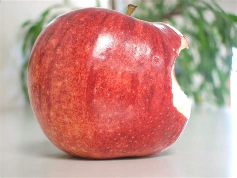 사과 효능 6가지 사과즙 사과쥬스 섭취도 괜찮을까 자유라디칼 Lifeinfo