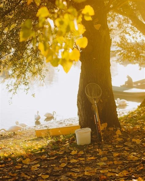 무료 사진 써니 날짜 초원 야생의 꽃 밝은 햇빛 백라이트 공장 잎 자연