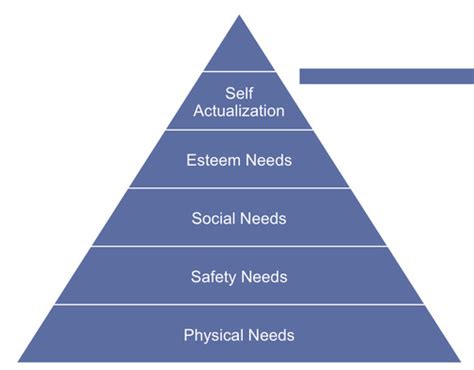 Nursing Concepts Exam 2 Flashcards Quizlet