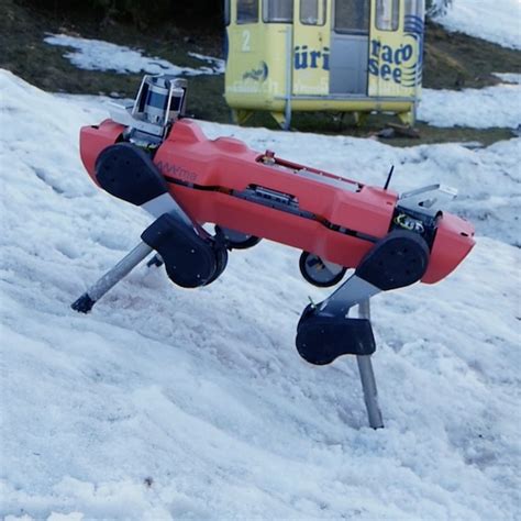 Robotics Vladlen Koltun