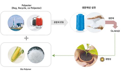 지속가능한 친환경 섬유 소재 에이치에스앤컴퍼니