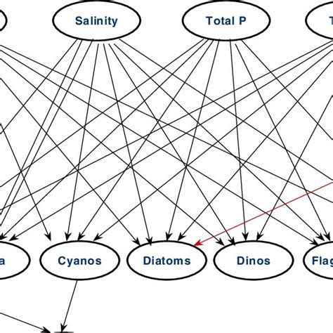 Bayesian Network Model Of Dependencies Between Physical Constraints