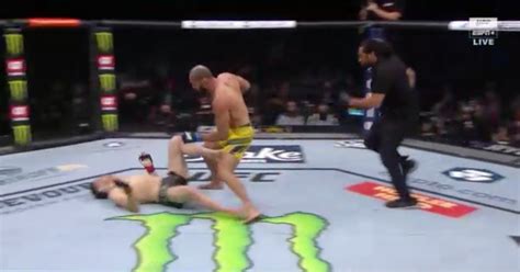 Bruno Silva Stops Jordan Wright With Early Knockout Ufc 269 Highlights
