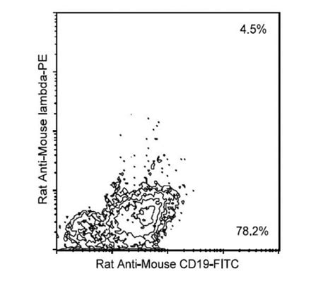 Rat Anti Mouse Lambda Light Chain Fitc Mlambda01