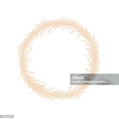 마른 팜파스 잔디가있는 원형 프레임 보호 스타일의 베이지 색 코르타데리아 화환 흰색 배경에 고립 된 벡터 말린 꽃 초대장 엽서 소셜 미디어를위한 트렌디 한 요소 디자인 억새