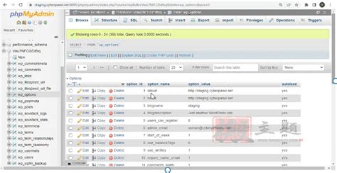 清理和优化wordpress网站数据库wpoptions表和自动加载的数据 搬主题