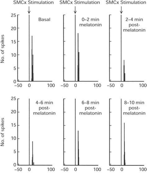 Peristimulus Time Histograms Taken From One Striatal Neurone To Show Download Scientific
