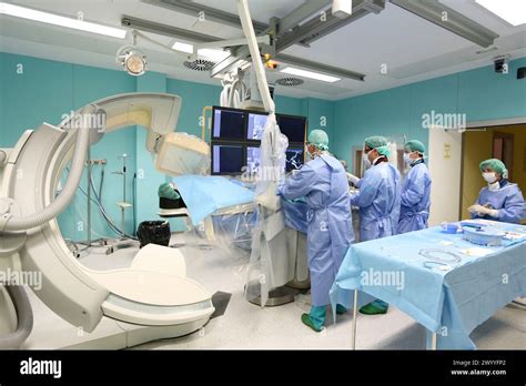 Cerebral Aneurysm Embolization Willis Polygone Angiography