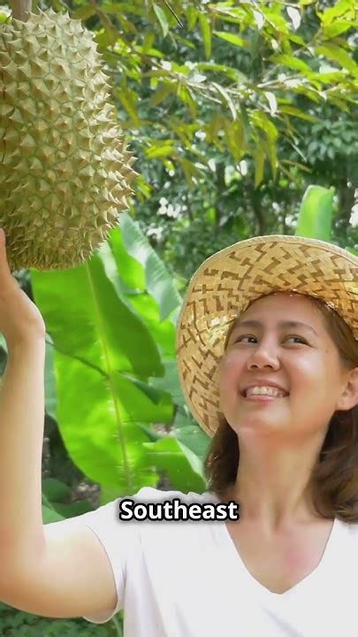 Top 3 Least Liked Foods In Asia 亚洲三大不受欢迎的食物 Youtube