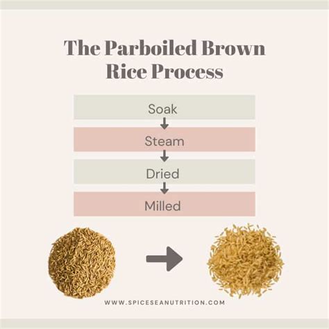 Parboiled Brown Rice A Healthier Choice Spicesea Nutrition