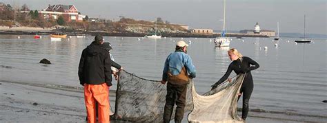 Sciences Engineering And Mathematics Southern Maine Community College