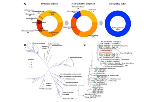 Biochemistry And Organic Chemistry Archives Page 3 Of 6 Astrobiology