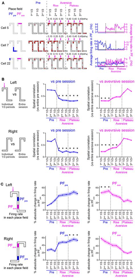 A Spatial Firing Patterns Of Three Representative Cells On Left