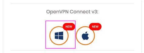 How To Setup Openvpn V3 Client On Windows 10