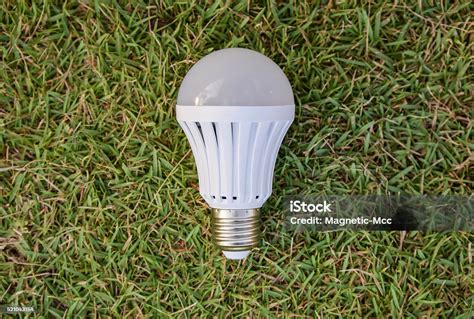 Led 전구있는 푸른 잔디 Led 조명에 대한 스톡 사진 및 기타 이미지 Led 조명 단일 객체 사진 이미지 Istock