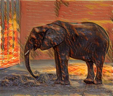 Neural Networks Daniels Assorted Musings