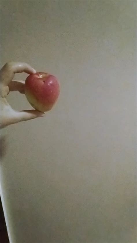 Video Object Detection Model By Aiot