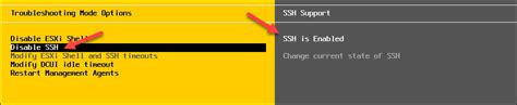 How To Enable Ssh On Vmware Esxi Phoenixnap Kb