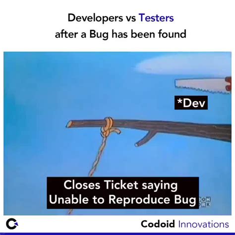 ajay purbe on linkedin developers vs testers after a bug has been found