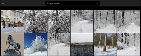 V Immich App Immich Discussion GitHub