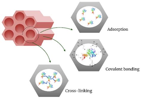 chemengineering free full text mesoporous silica based catalysts for biodiesel production a