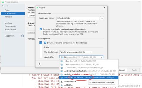 An Exception Occurred Applying Plugin Request Id ‘comandroidapplication‘ 配置jdk11（保姆级图文） Csdn博客