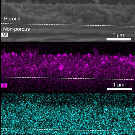 Sem Edx Of 100 Second Electrodeposited Sample A Sem Cross Section