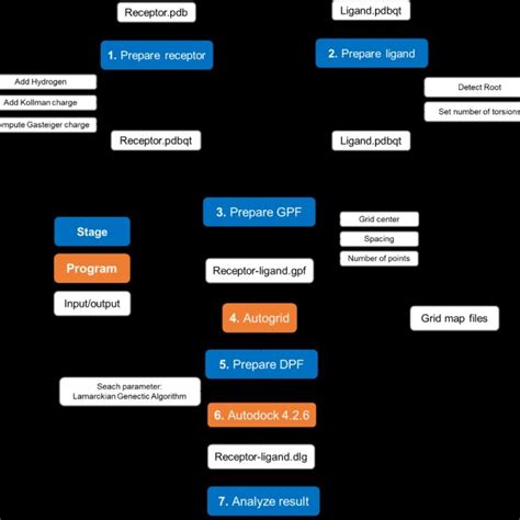 Autodock 4 2 6 Workflow Using Mgltools Download Scientific Diagram