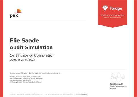 Elie Saadeh On Linkedin Audit Pwc Documentation Forage