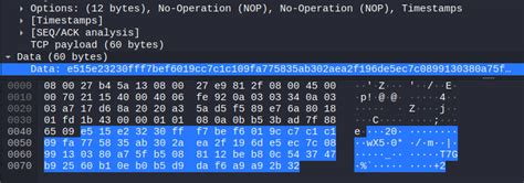 The Ultimate Guide To Finding Bugs With Nuclei