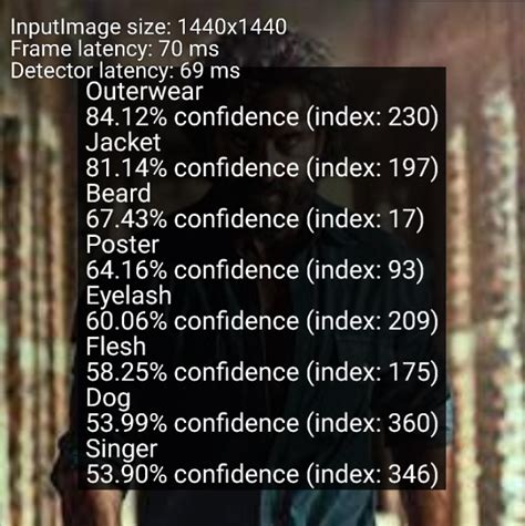 Bug Report Image Labeling Giving Wrong Or Inaccurate Results Issue
