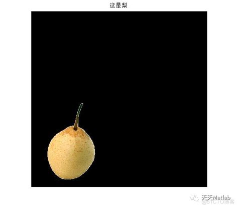 【水果分类】基于计算机视觉实现水果识别分类含matlab源码51cto博客水果识别模型